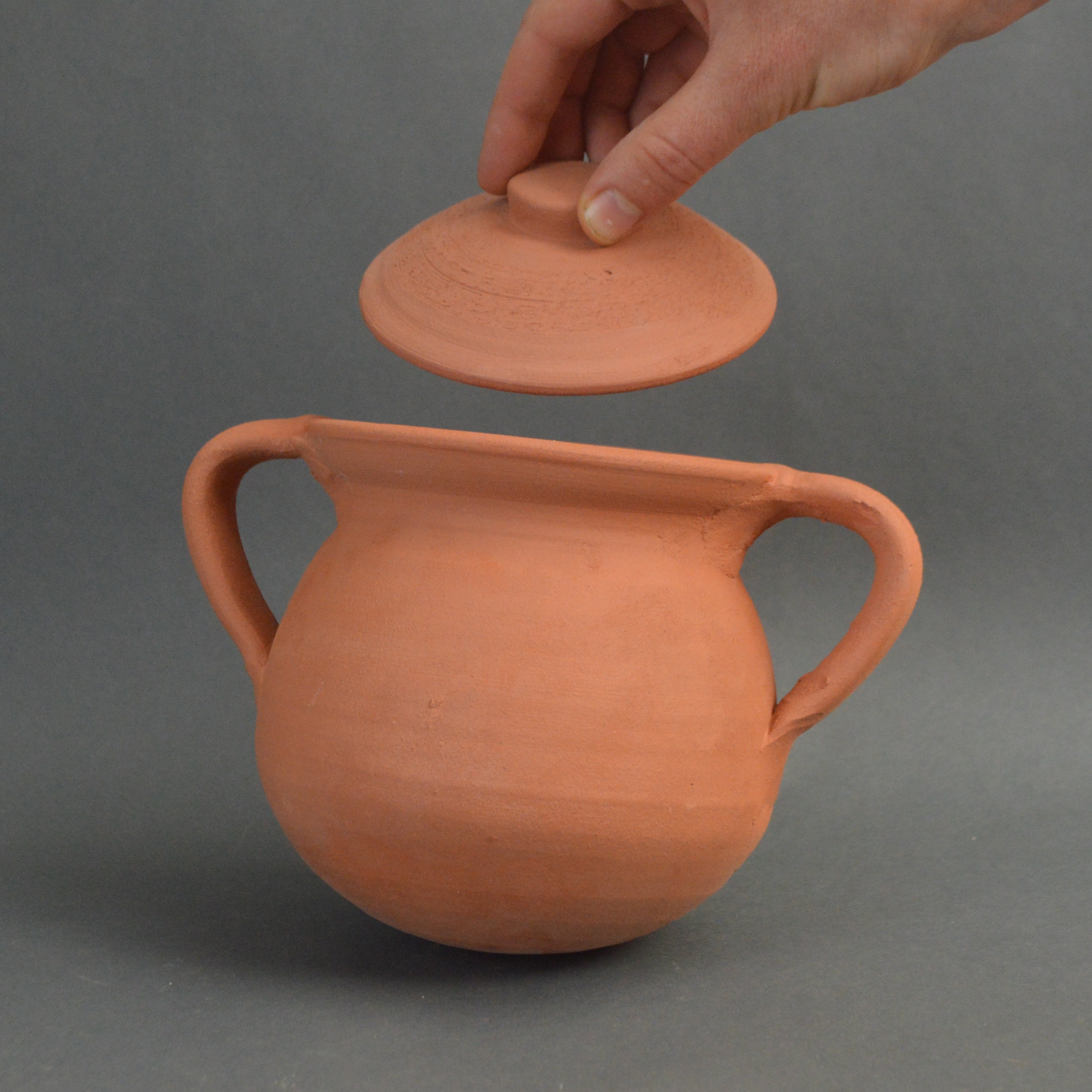 Pompeian Roman Cooking Pot – PottedHistory