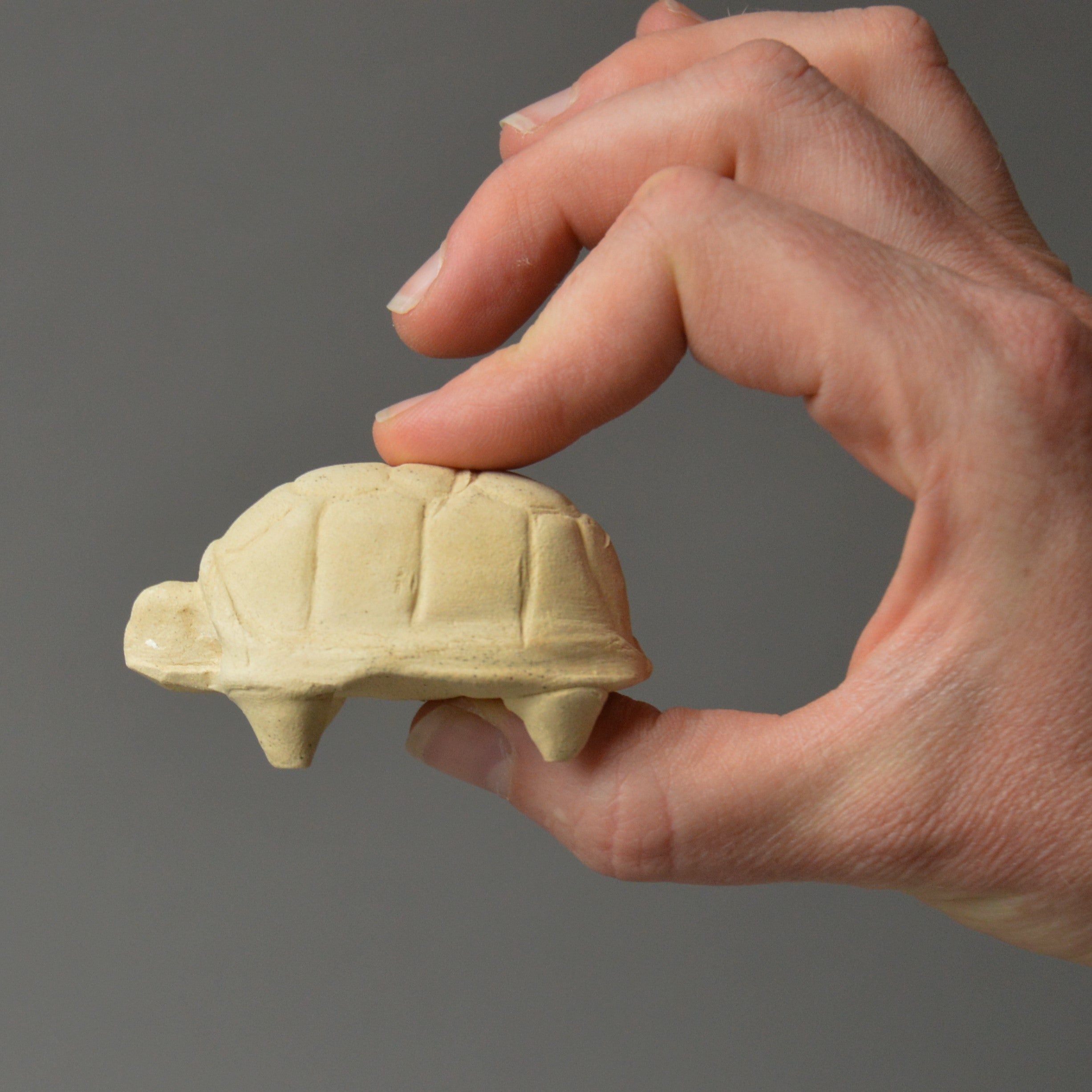 Greek Votive Tortoise – PottedHistory